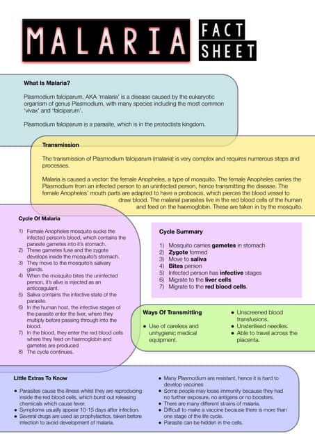 Edexcel GCSE Biology | 1) DNA | PDF | Biological Sciences | Science