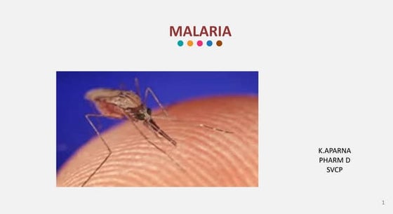 Malaria Case Study | PPTX | Infectious Diseases | Diseases and Conditions