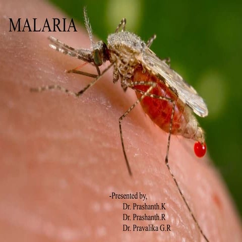 Project work malaria class 12_ HS biology project | PDF