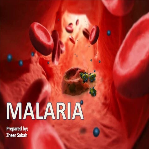 Biology investigatory project class 12 [malaria] | DOCX