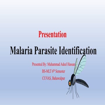 Malaria Identification in Laboratory.pptx