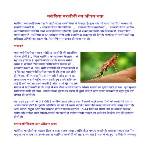 Malaria life cycle | PDF