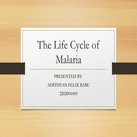 Malaria_Life_Cycle_Presentation_Upd].pptx