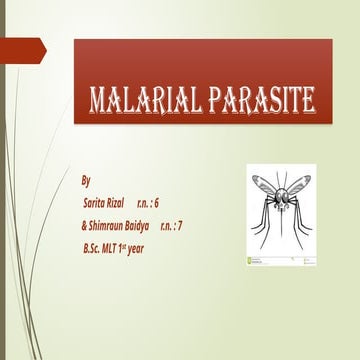 MALARIAL PARASITE PRESENTATION pptx.pptx