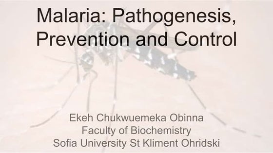 Preventing-Malaria-A-Global-Health-Imperative.pptx