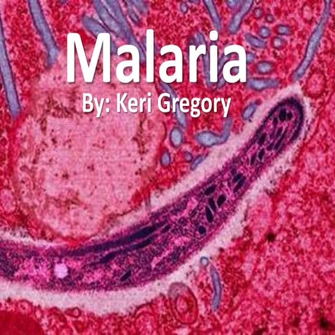 Overview of Unit Plan- Malaria | PPTX