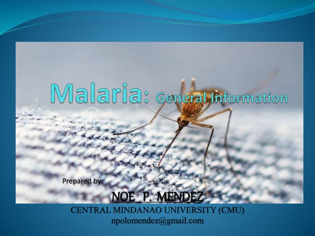 Project Paper on Malaria | DOCX