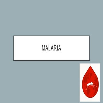 Malaria presentation | PPTX
