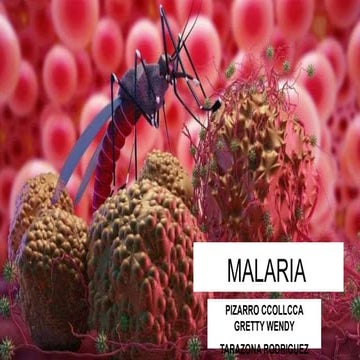 Paludismo – Malaria presentación parasitología | PPTX