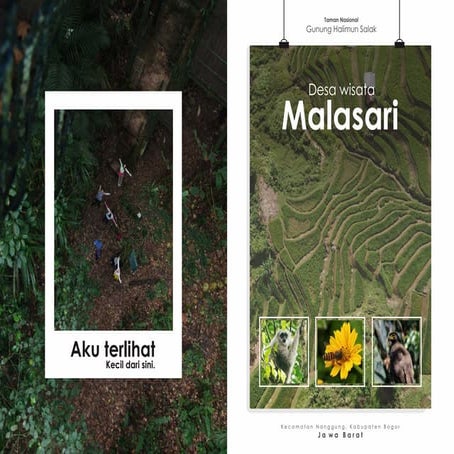 Malasari Field Guide Book | PDF