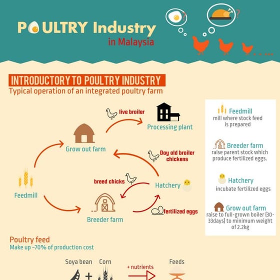 Malaysia mall Infographic | PDF