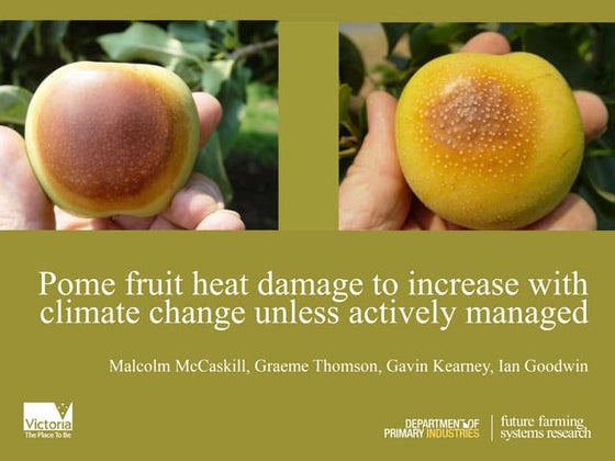 24 j. sedlak rbip pome-fruit_report | PPT