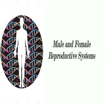 Grade 10 Quarter 3: The Reproductive System | PPTX