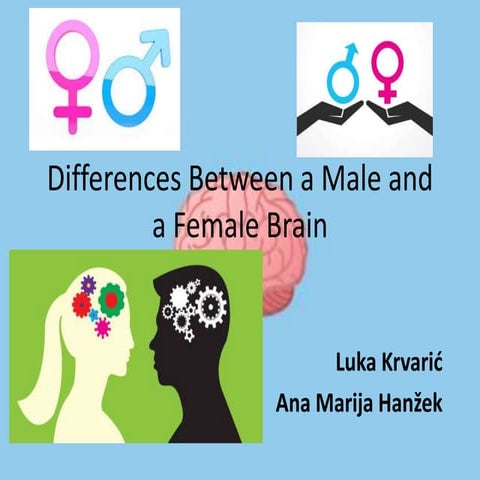 Male female brain | PPTX