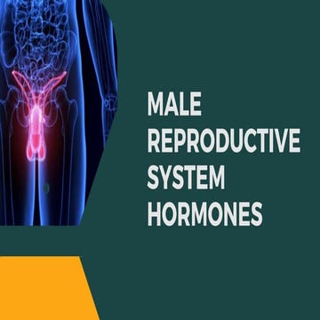 Grade 10 Science MALE-REPRODUCTIVE system | PPTX
