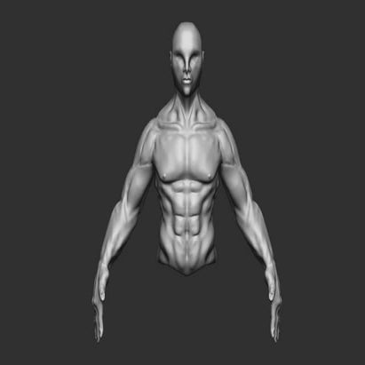 Male sculpt-upper half | PDF