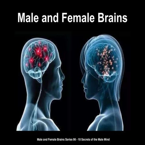 Male and Female Brains Series 06.ppt | Women\'s Health | Healthy Living