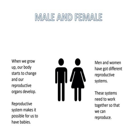 Male and female charact | PPTX