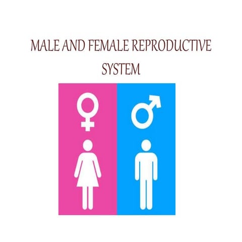 MALE AND FEMALE REPRODUCTIVE SYSTEM.pptx