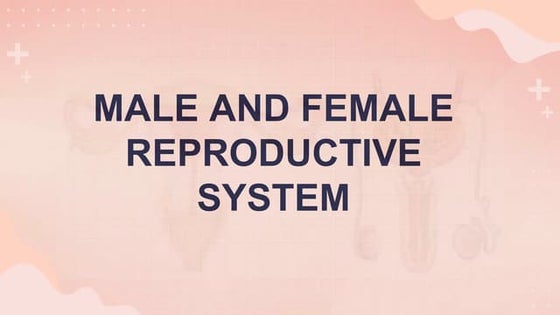 Biology Subject for High School Human Reproduction by Slidesgo.pptx