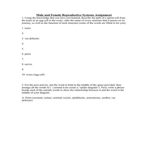 Male and female reproductive systems assignment | DOC
