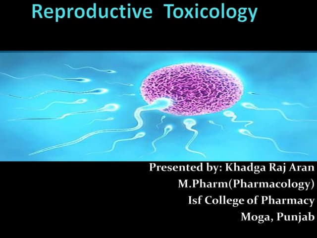 MALE REPRODUCTIVE TOXICITY STUDIES(Toxicokinetics).pptx
