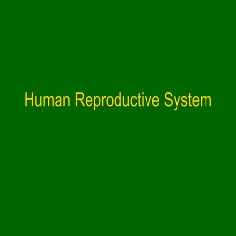 Male and female rep system | PPT