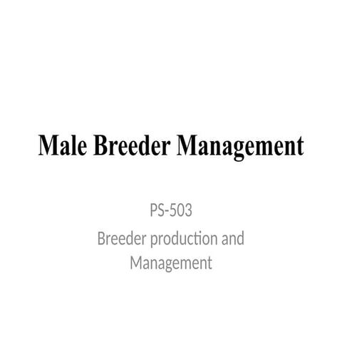 Male Breeder Management. related to poultry | PPTX