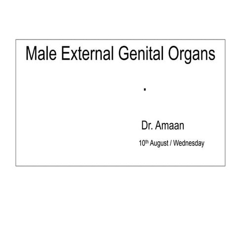 Anatomy of penis and physiology of erection | PPTX