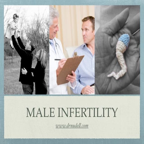 Male Infertility | PDF