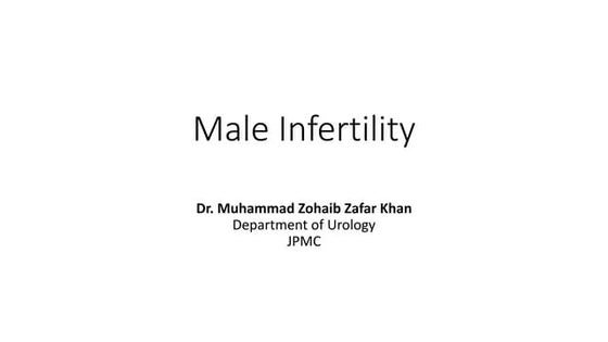 Male reproductive system | PPTX