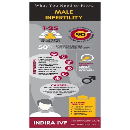 Male Infertility- What you need to know | PDF