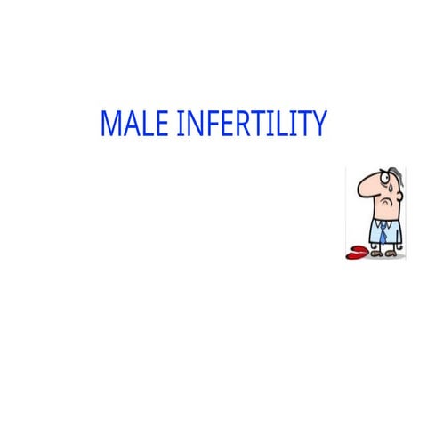 male infertility and treatment ppt.pptx
