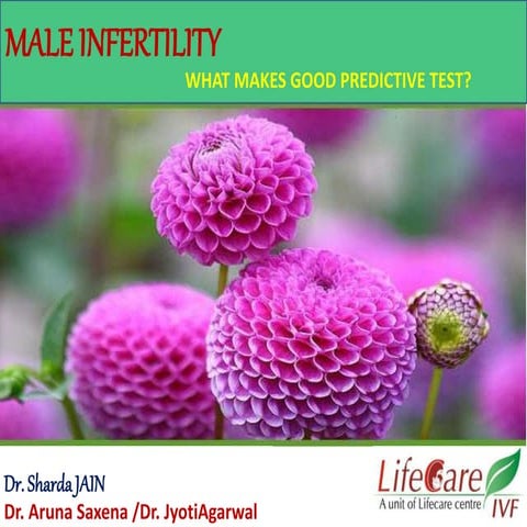 Male infertility what makes a good predictive test,ANTIOXIDANTS ...