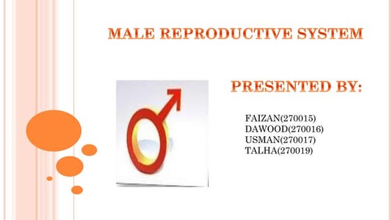 Grade 10 Bio Male reproductive system | PPTX | Infertility ...