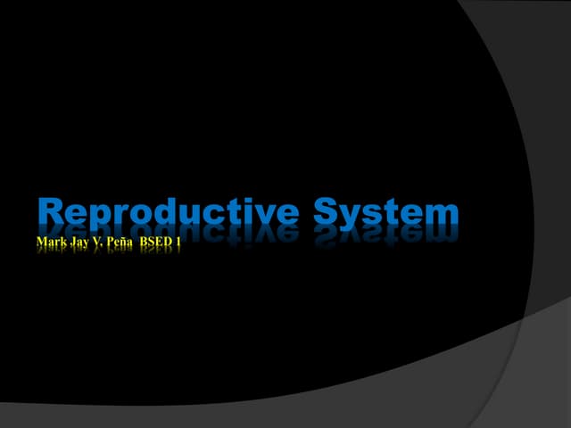 Male reproductive system | PPT