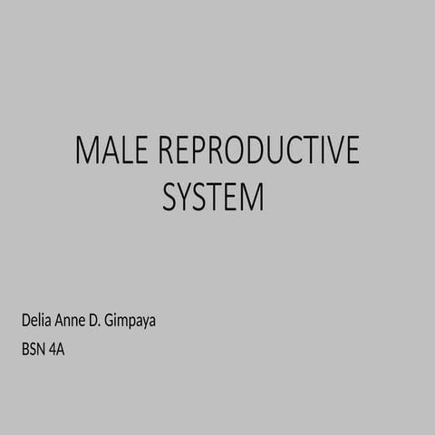 MALE REPRODUCTI-KDHWEFEFKWPS Office.pptx