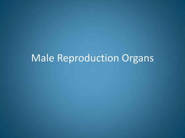 Principles of design | PPT