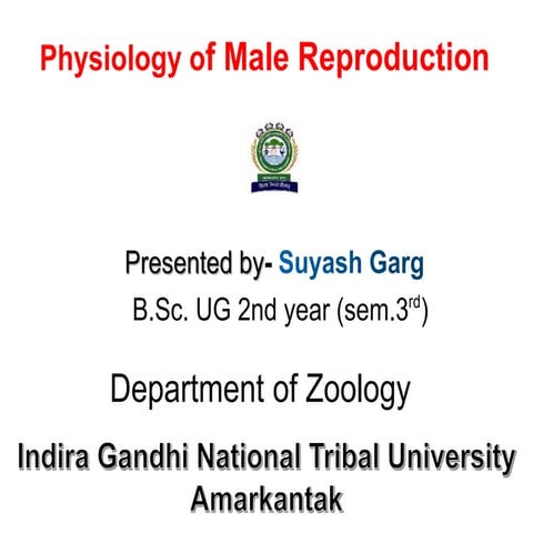 Male reproductive system of cattle | PPTX