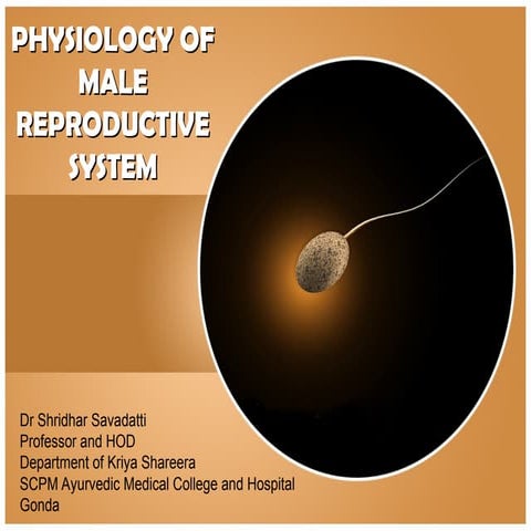 Male & female reproductive system | PPTX
