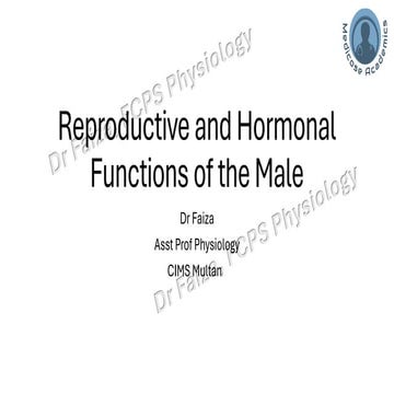 "Male Reproductive and Hormonal Physiology" | PDF