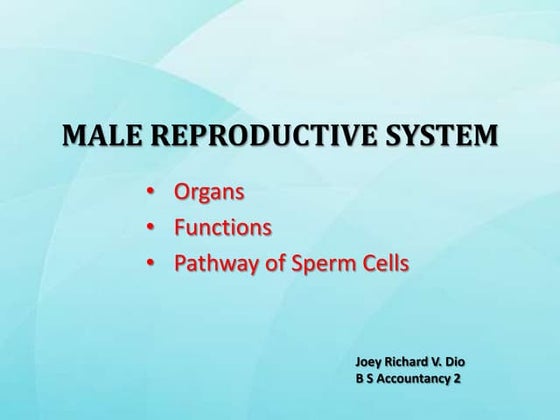 Grade 10 Bio Male reproductive system | PPTX | Infertility ...