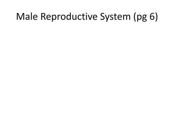 Grade 9 - Sexual Reproduction of Human | PPT | Pregnancy | Reproductive ...