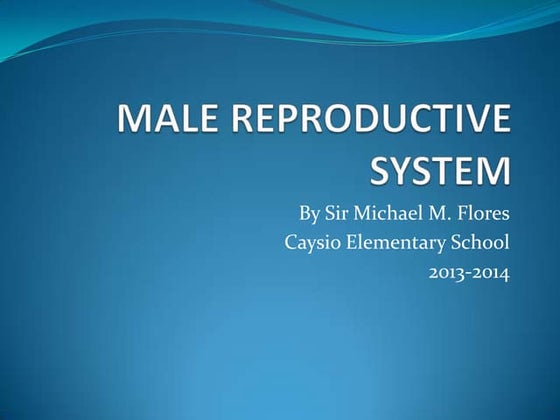 The Male Reproductive System | PPT