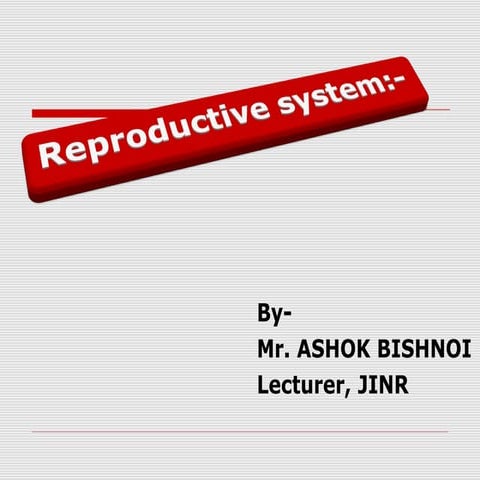 Male reproductive system | PPTX