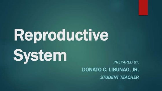 The Male Reproductive System | PPT