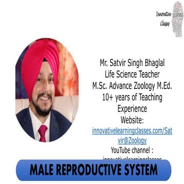 Male Reproductive System Pptx Infertility Reproductive Health