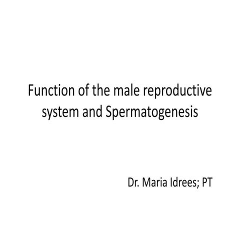 Male reproductive system | PPT