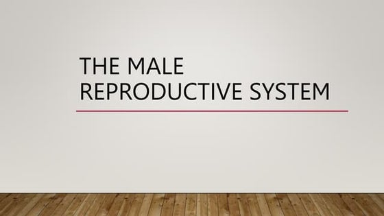 Male reproductive system of cattle | PPTX | Infertility | Reproductive ...