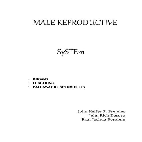 MALE REPRODUCTIVE SySTEm.docx